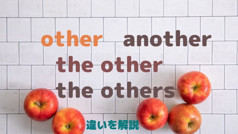 one, another, the other, the others の違いと使い方 | 幸せの白い鳥ブログ